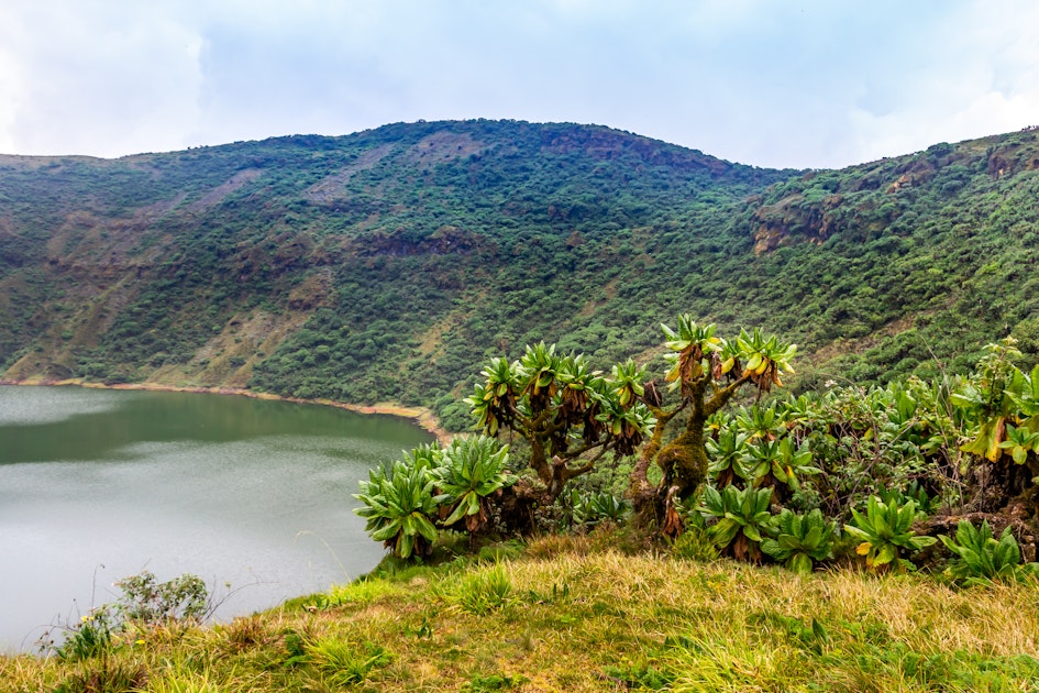 Hike around the crater lakes of Mount Bisoke | Timbuktu Travel