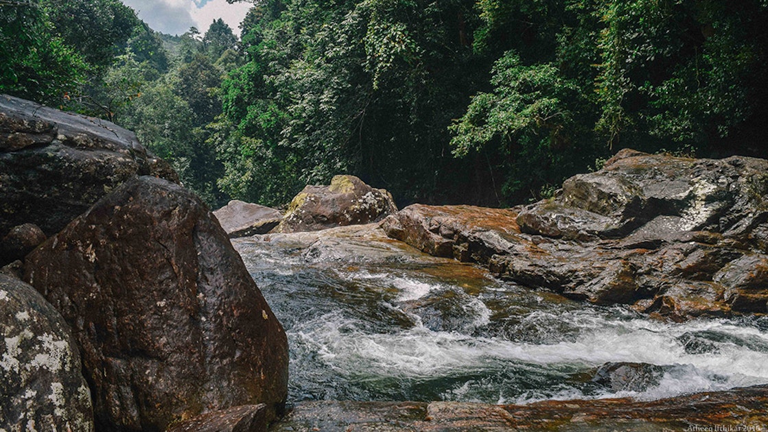 Enjoy a scenic forest hike and lunch in Galle | Timbuktu Travel