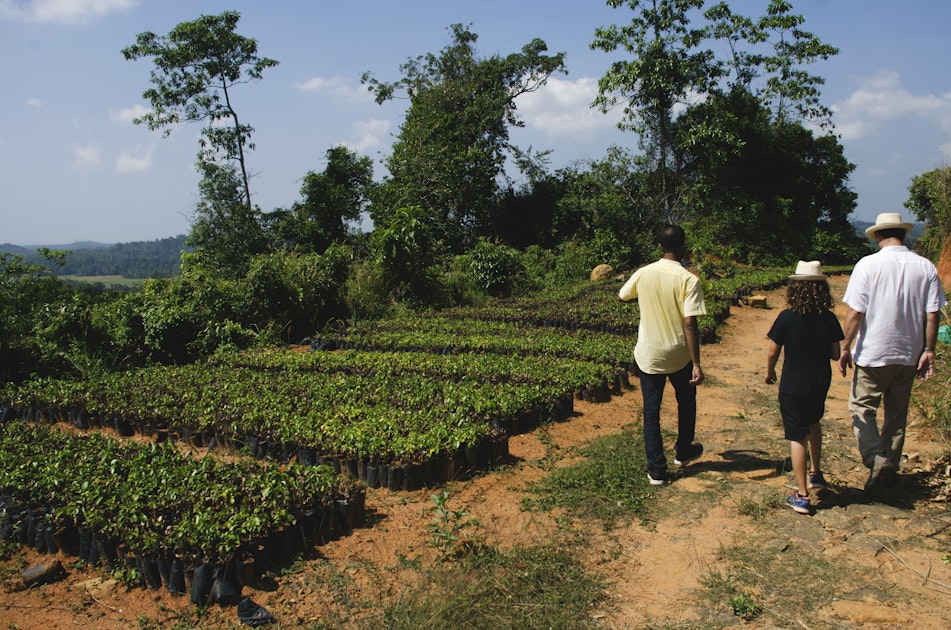 Take a tour of a cinnamon farm in Galle | Timbuktu Travel