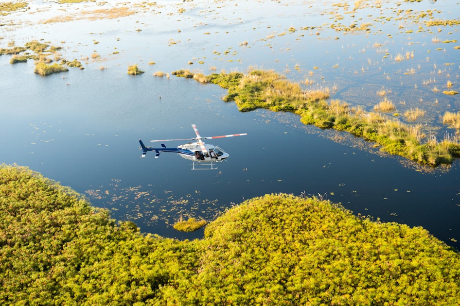 Helicopter safari from the sky in Moremi | Timbuktu Travel