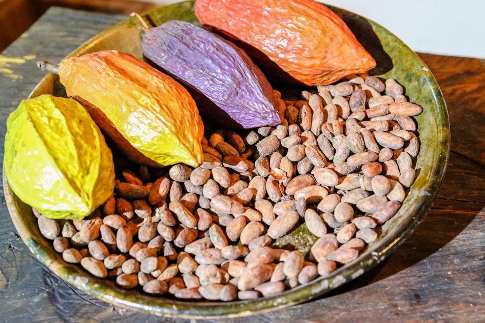 Learn the art of chocolate making at a cacao farm | Timbuktu Travel