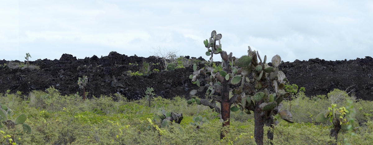 Hike along the trails of isabela Island | Timbuktu Travel