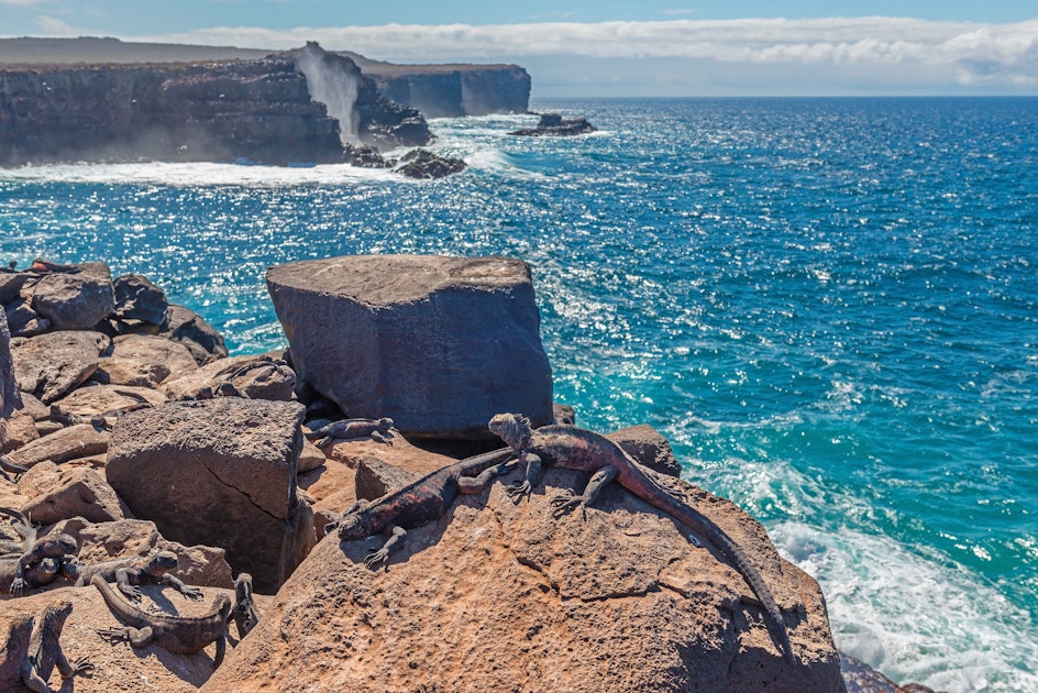 Hike to the blowhole and vistas of Suarez Point | Timbuktu Travel