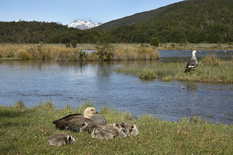 Spy aquatic birds from the Paseo de la Isla trail | Timbuktu Travel