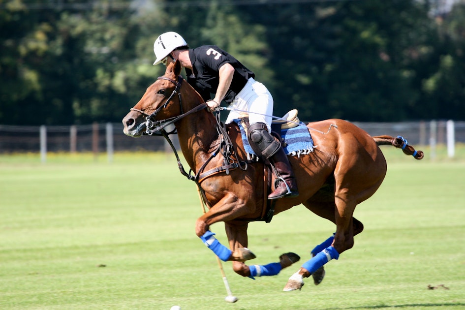 Have a polo lesson with a pro in Buenos Aires | Timbuktu Travel