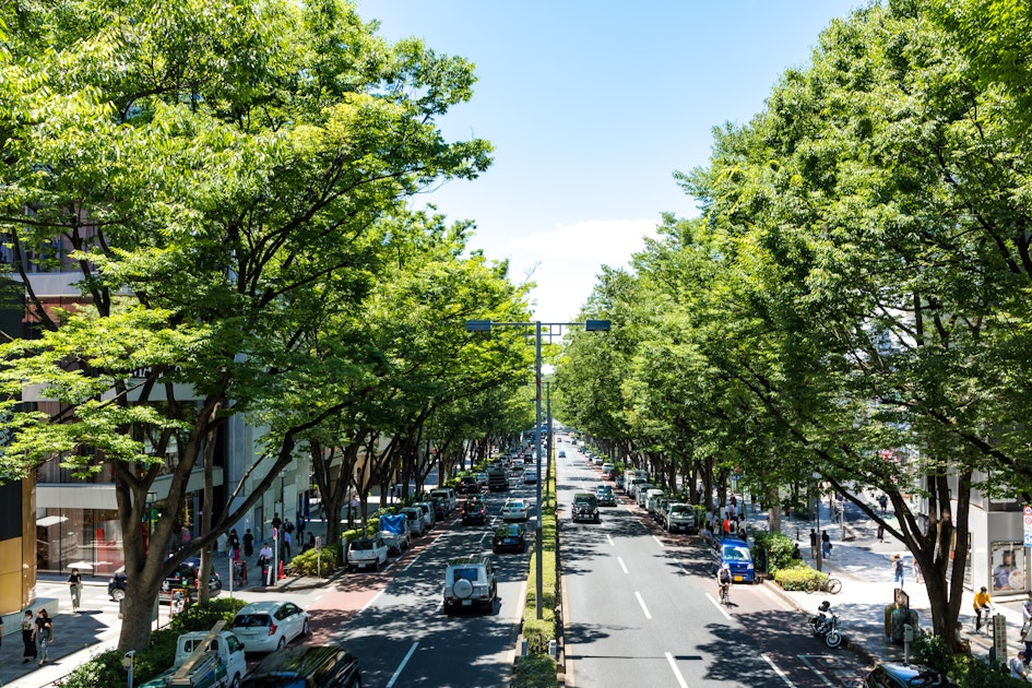 Stroll down Tokyo's Trendy Omotesando Street | Timbuktu Travel