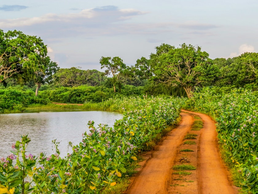 Cycle through the rural villages around Galle | Timbuktu Travel