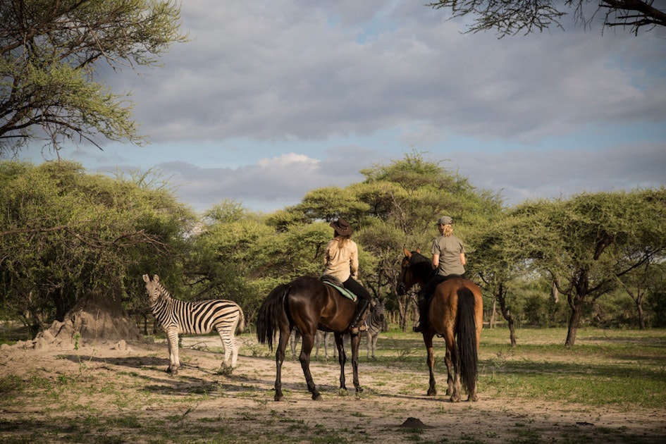 Explore Maun on a horseback safari | Timbuktu Travel