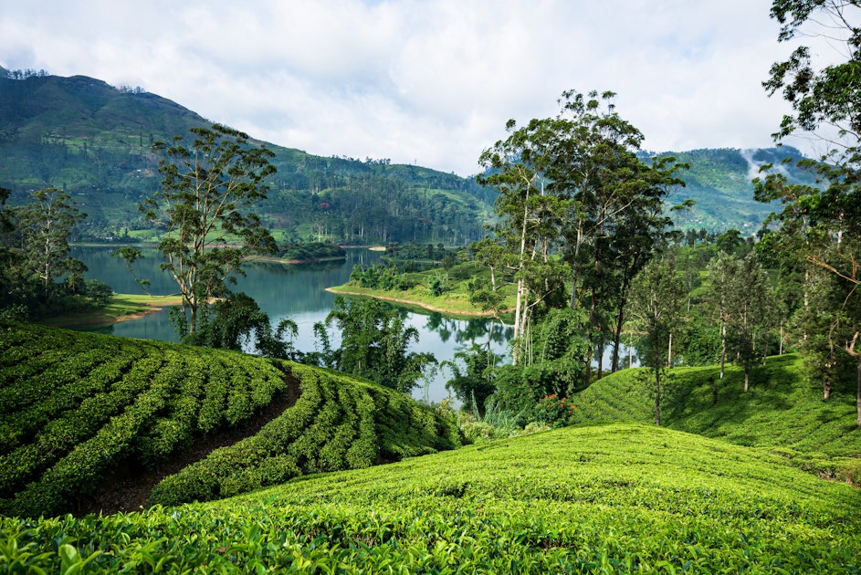 Explore Hatton's landscape with a naturalist guide | Timbuktu Travel