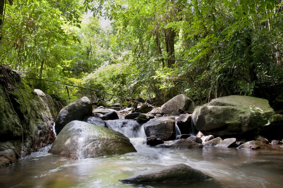 Take a rain forest Hike to Bang Pae Waterfall | Timbuktu Travel