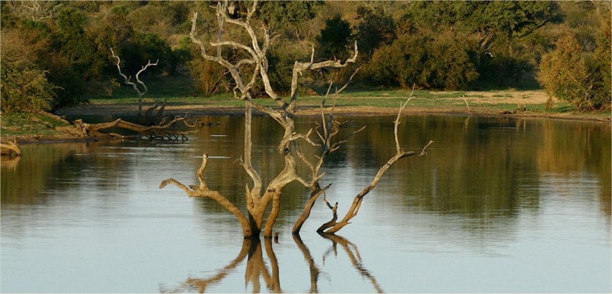 Sambane Game Lodge, South Africa | Timbuktu Travel