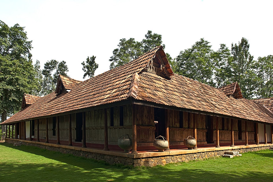 Rajakkad Estate , India | Timbuktu Travel