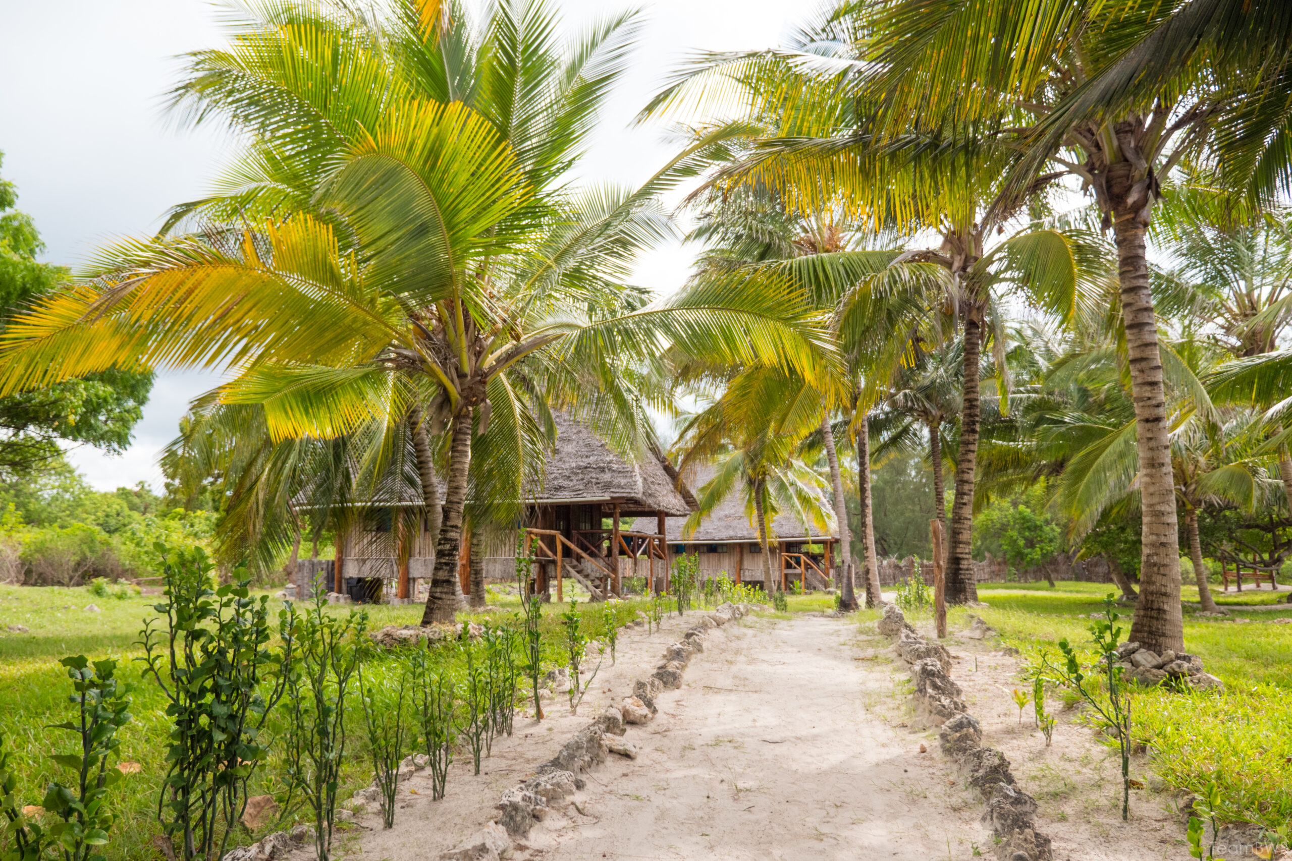 Pemba Lodge, Tanzania | Timbuktu Travel