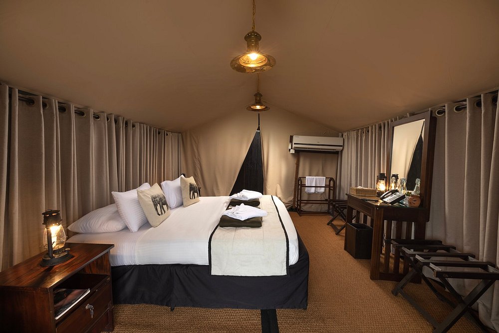 Leopard Trails - Yala , | Timbuktu Travel