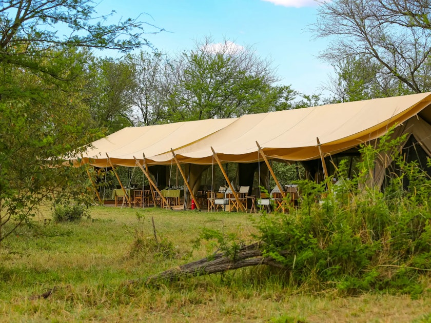 Intimate Camp Zebra, Tanzania | Timbuktu Travel