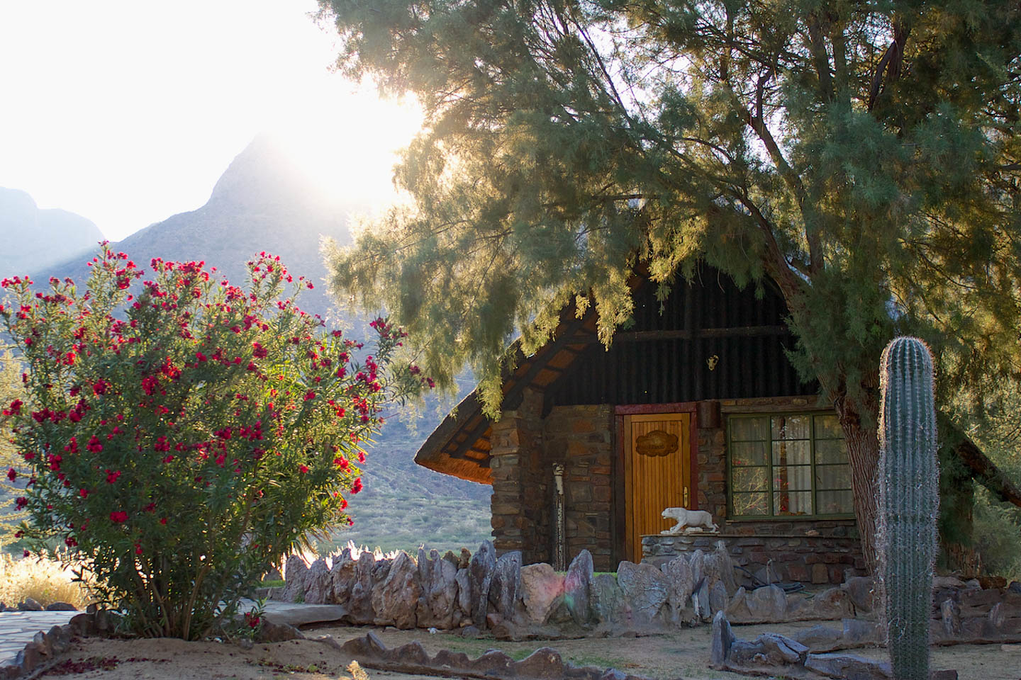 Erongo Safari Trips & Tours | Timbuktu Travel