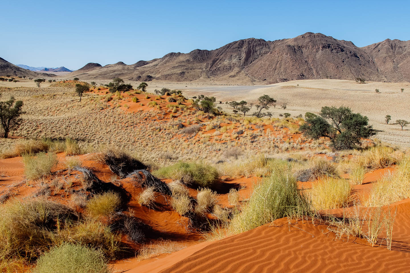 Design your Namibrand Nature Reserve safari online | Timbuktu Travel