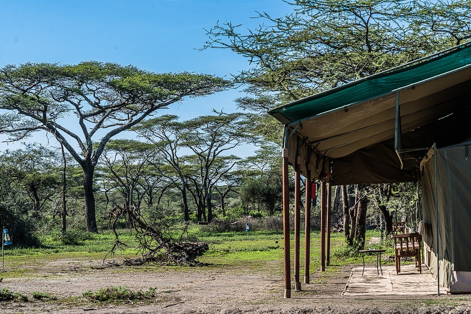 Ang'ata Migration Ndutu Camp, Tanzania | Timbuktu Travel