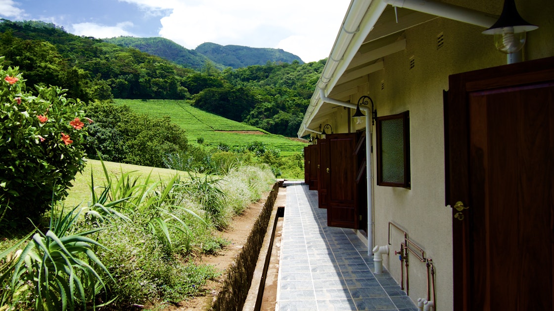 Aberfoyle Lodge, Zimbabwe | Timbuktu Travel