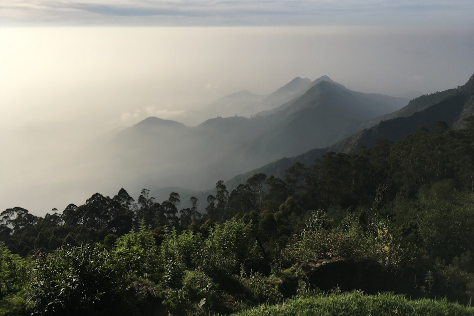 Design your Palani Hills trip online | Timbuktu Travel