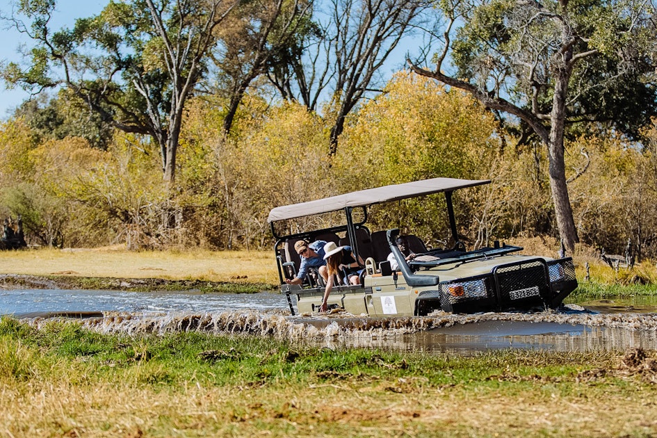 Selinda, Vic Falls and the Central Kalahari in one Safari | Timbuktu Travel